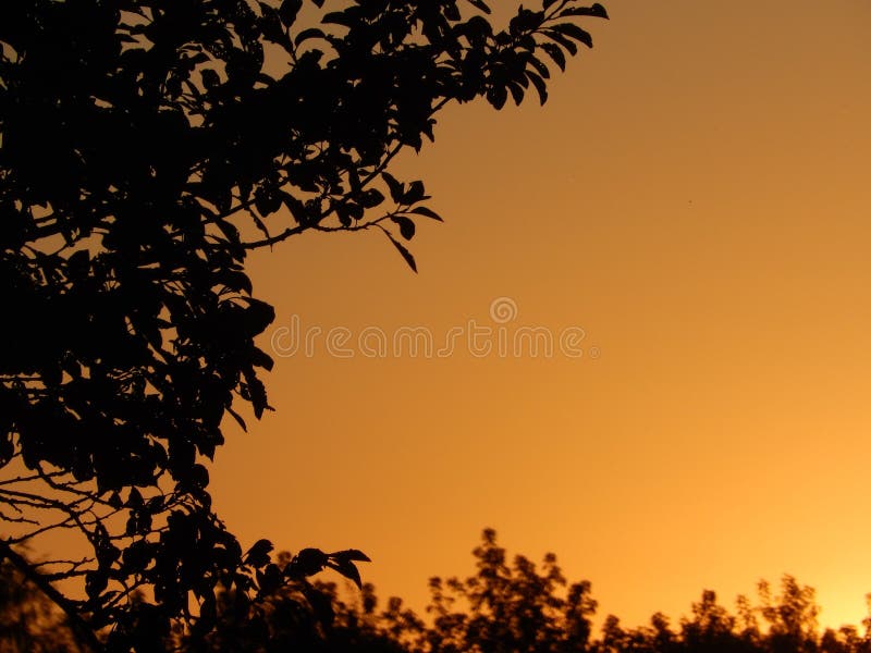 Landscape View of the Sunset Sky and a Tree Stock Photo - Image of ...