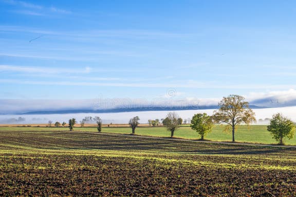 Landscape View with Trees on a Field Stock Photo - Image of outdoors ...