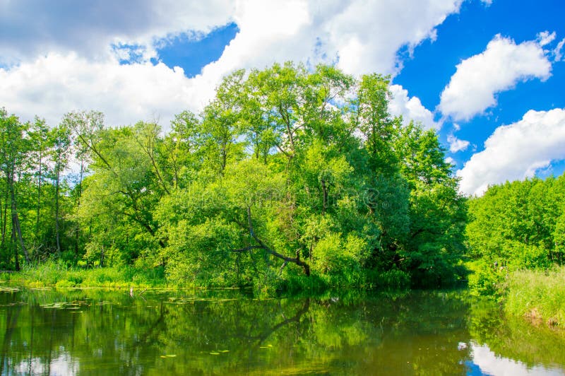Landscape View with Trees and Water. Stock Image - Image of outdoor ...