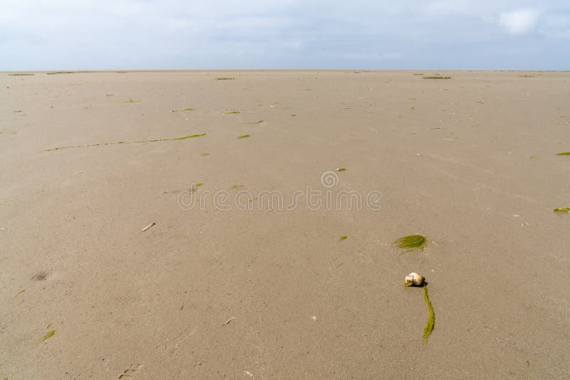 Landscape View of Wadden Sea Beach at Low Tide Stock Photo - Image of ...