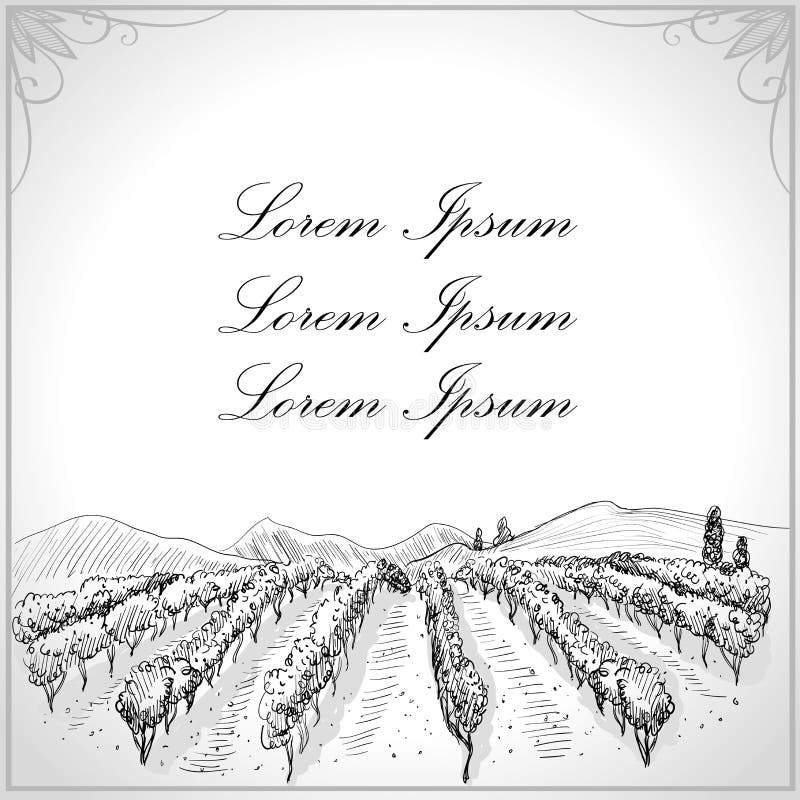 Landscape with Vineyard Fields, Villa, Trees. Outline Vector ...