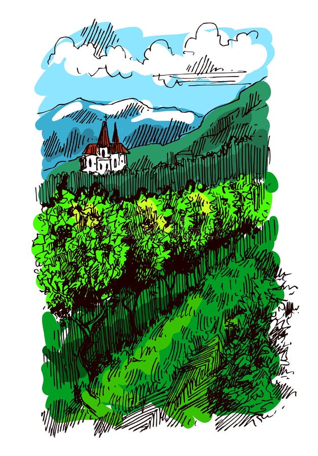 Italian Landscape, Vineyard Stock Vector - Illustration of agriculture ...