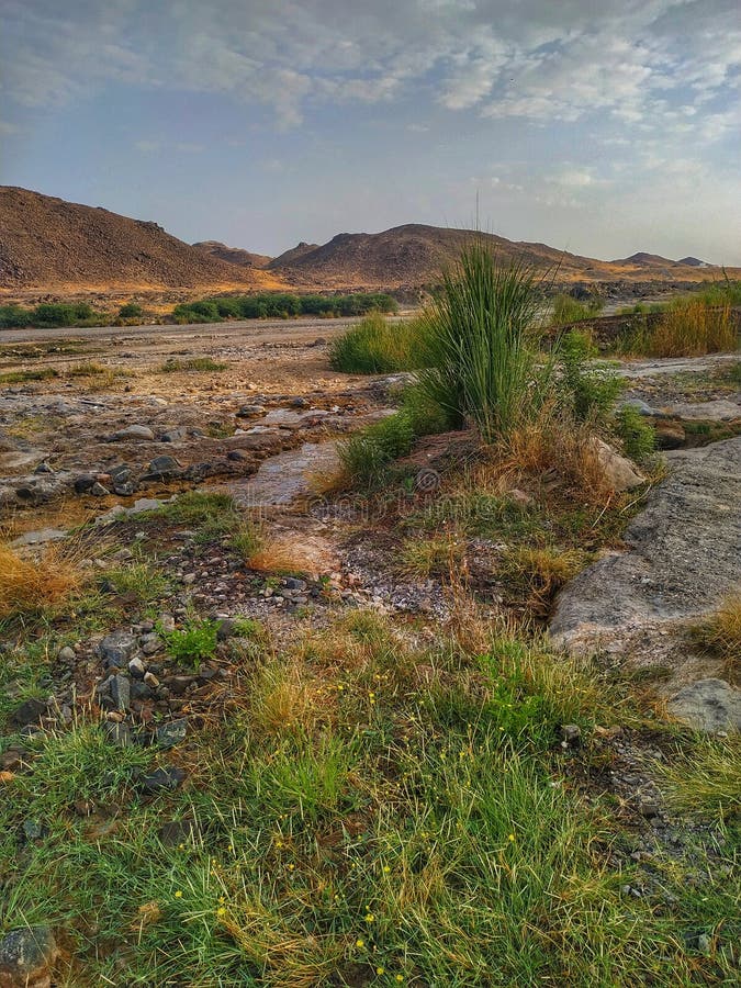 Landscape of wadi in Oman stock photo. Image of wadi - 188068760