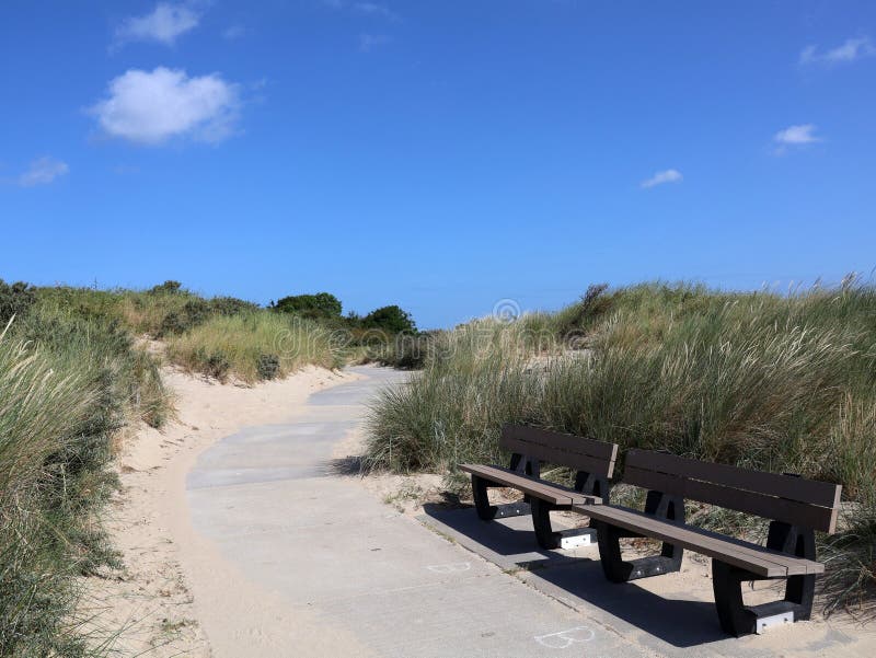 Landscape with a Walking Path and Bench Located on the Dunes. Stock ...