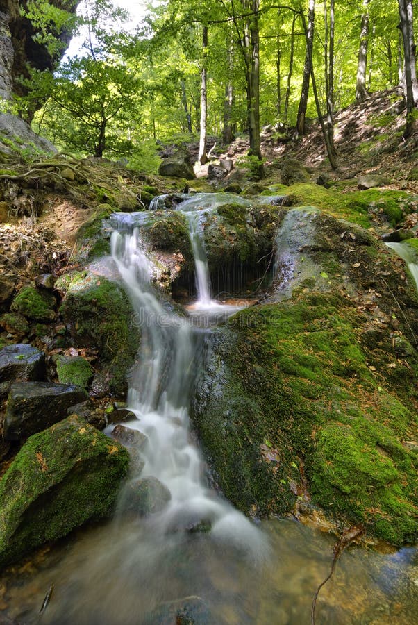 Landscape of the Water Cascades of a Mountain Stream. the River Flows ...