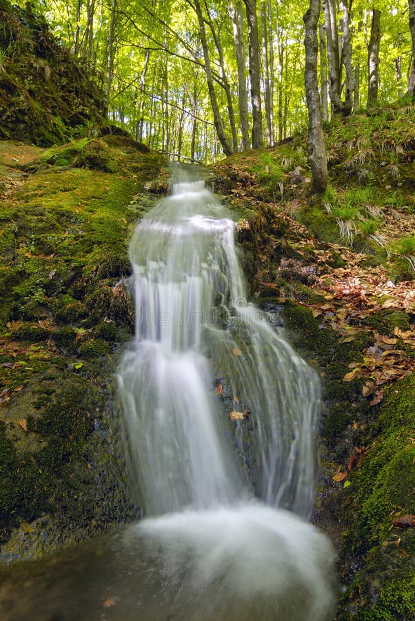 Landscape of the Water Cascades of a Mountain Stream. the River Flows ...
