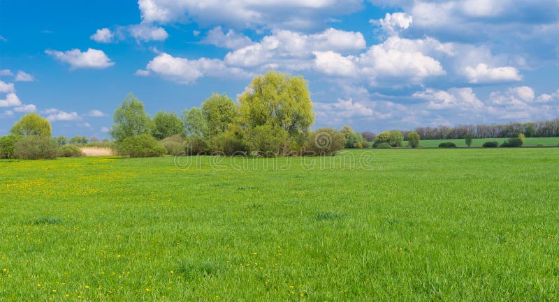 Landscape with Water-meadow at Spring Season Stock Image - Image of ...