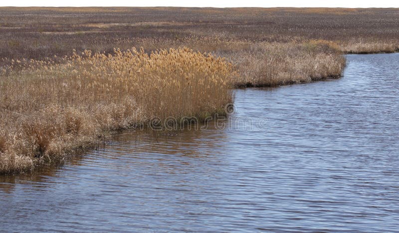 A Waterscape and Landscape 2 Stock Image - Image of beach, wave: 118908427
