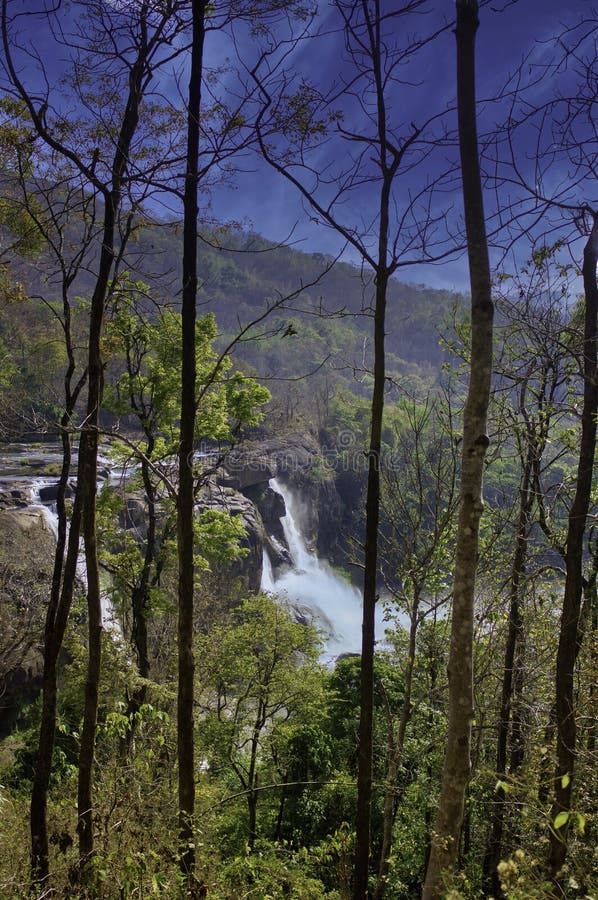 A Landscape of a Waterfall Behind Trees Stock Photo - Image of lonely ...