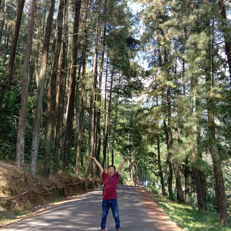 Landscape waterfall editorial photography. Image of bogor - 123564727