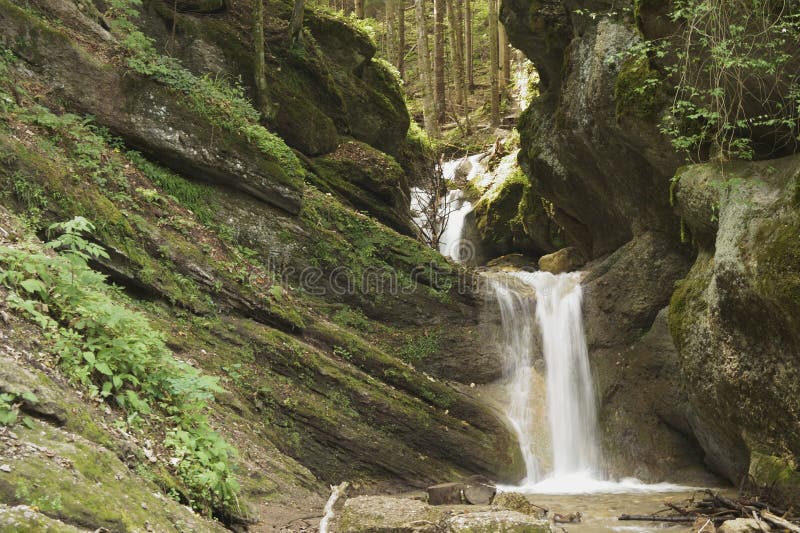 Landscape with Waterfall, Vegetation and Trees Stock Photo - Image of ...