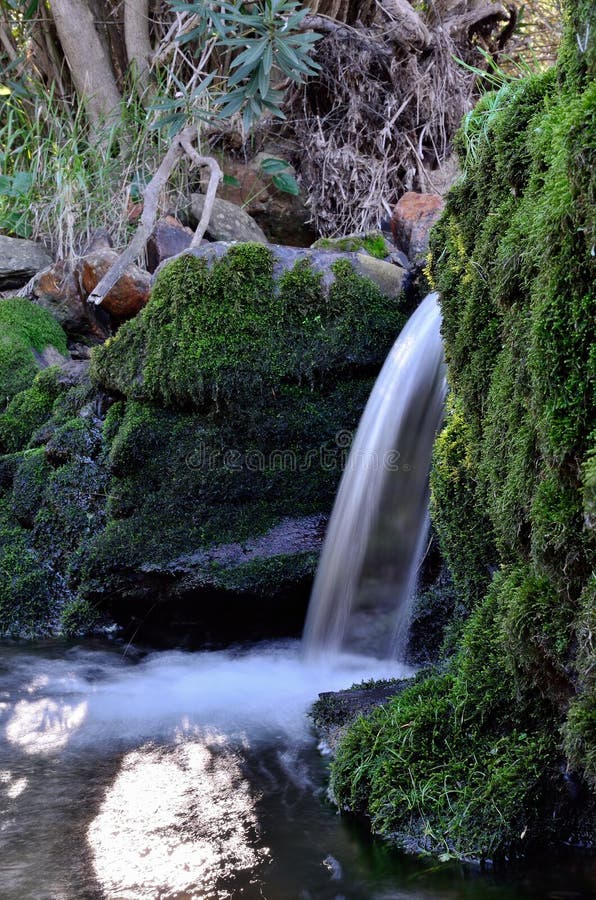 Landscape with Waterfall - Vertical Stock Image - Image of tranquility ...