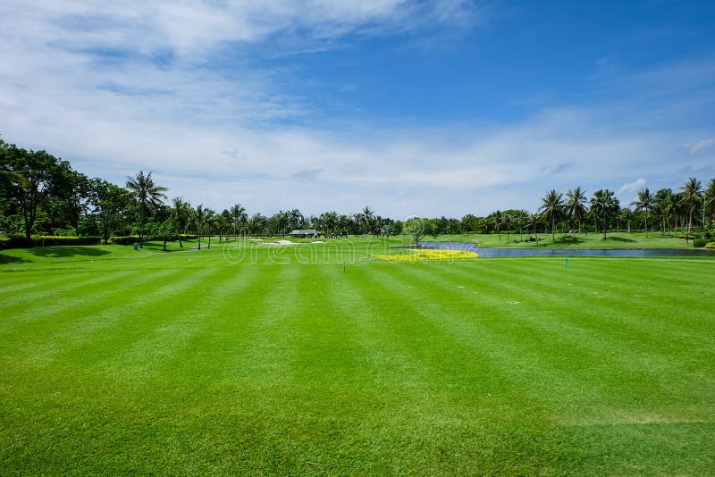Landscape Wide green lawns stock photo. Image of lawn - 74479080
