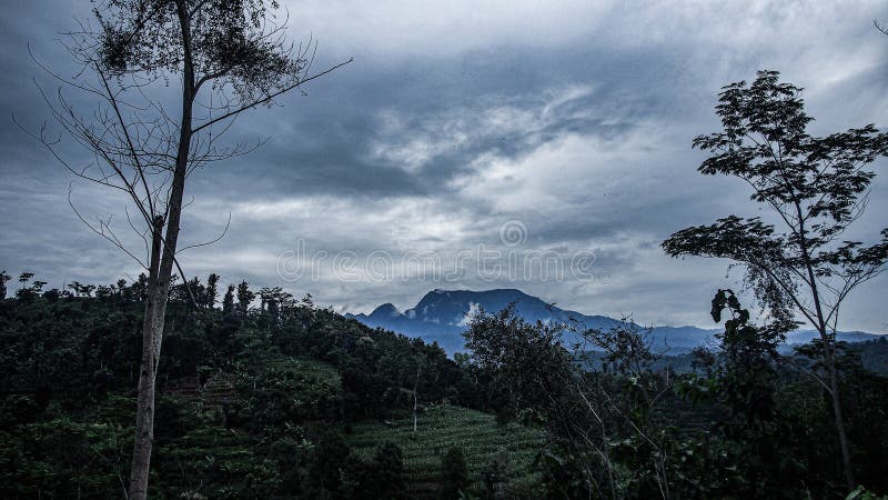 Landscape in the Wilis Mount Stock Photo - Image of mount, indonesian ...