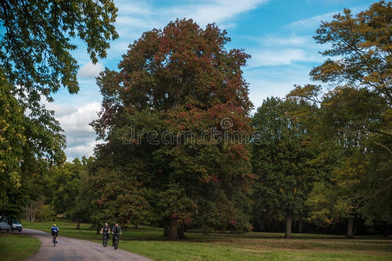 LONDON, ENGLAND - SEPTEMBER 28, 2017: Landscape in Windsor Great Park ...