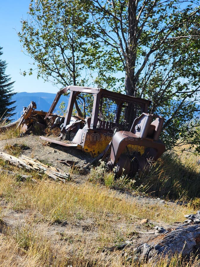 Landscape Wins in Time Cat Ash Stock Image - Image of time, catash ...