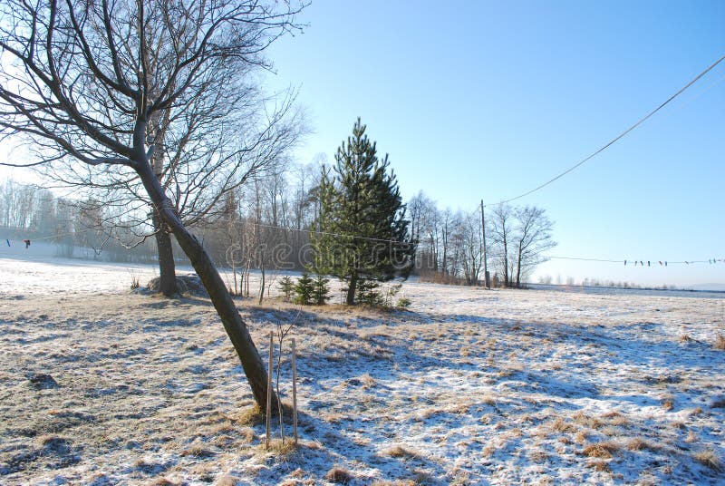 Winter morning stock image. Image of scenery, grass, light - 9862833
