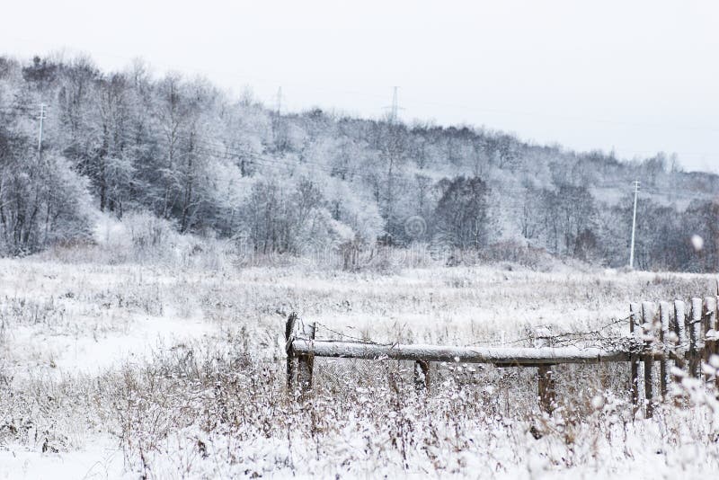 Landscape in the Winter Cloudy Day Stock Photo - Image of country, cold ...