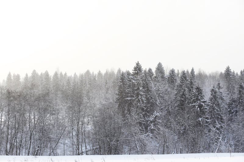 Landscape in the Winter Cloudy Day Stock Image - Image of road, branch ...