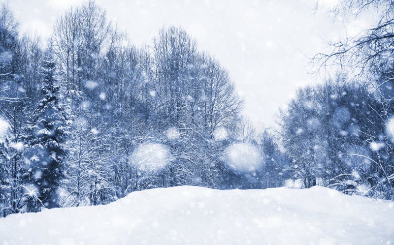 Landscape in the Winter Day Stock Image - Image of outdoors, misty ...