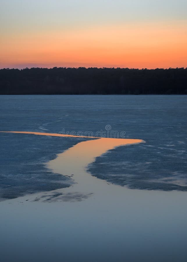Sunset Stream in Forest. a Peaceful Stream Flows through a Dense Forest ...