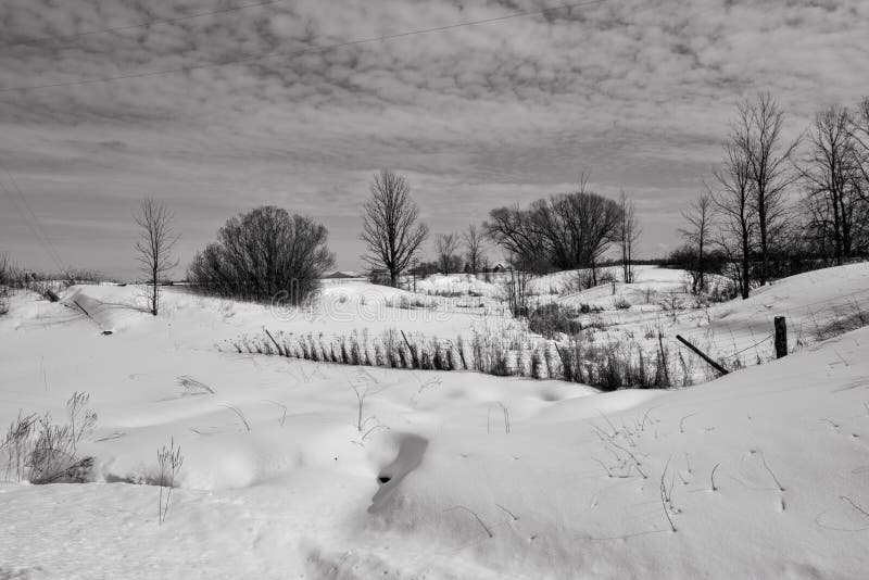 A Landscape Winter Scene with Trees and Trees with a Nice Sky Stock ...