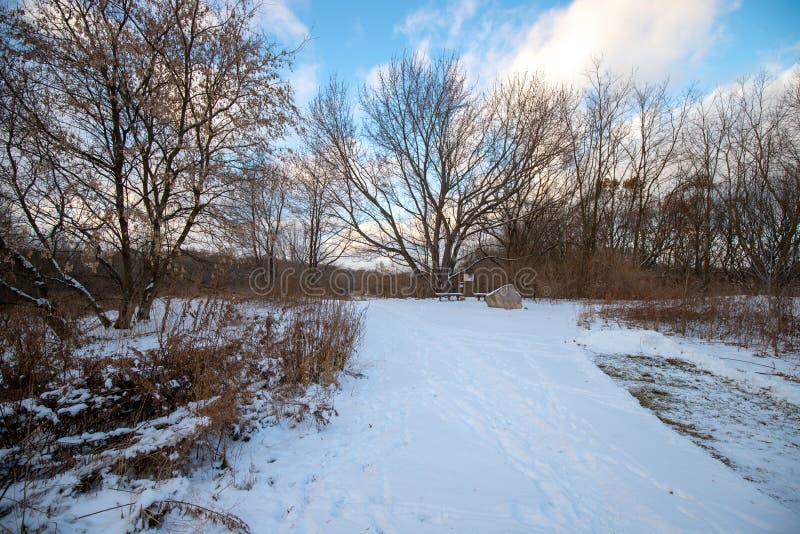Landscape with Winter Snowy Forest Stock Image - Image of jersey ...