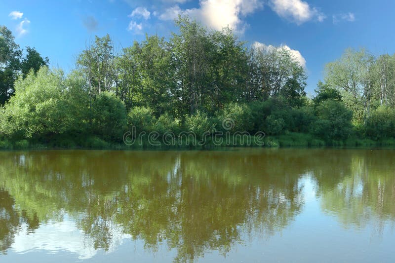 Landscape from a Wooded River Bank. Stock Image - Image of nature ...