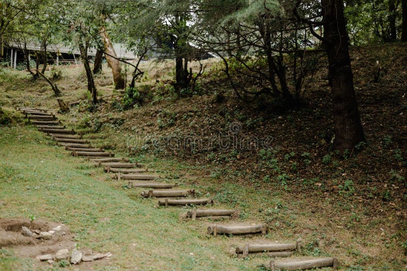 Landscape of Wooden Steps in a Park Covered in Greenery in the Daylight ...