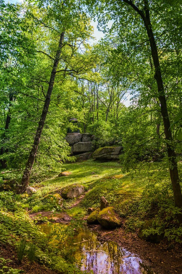 Beautiful Creek In The Woods, Large Rocks On The Shore Stock Photo ...