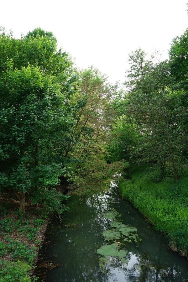 Landscape with the Wuhle River and Its Surrounding Vegetation. Berlin ...
