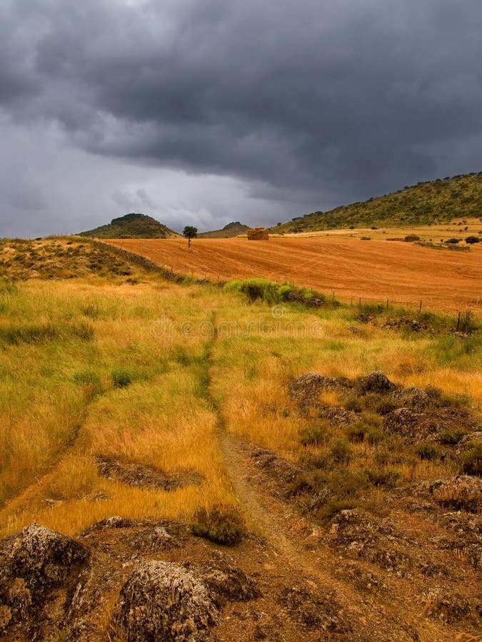 Landscape with Yellow Colours Stock Image - Image of beautiful, clouds ...
