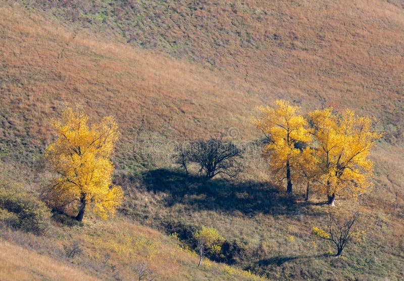 Landscape with Yellowed Trees on the Slope of a Hill with Dry Grass ... Landscape with Yellowed Trees on the Slope of a Hill with Dry Grass ...