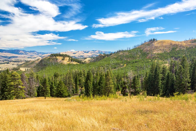 Landscape in Yellowstone National Park Stock Image - Image of mountain ...