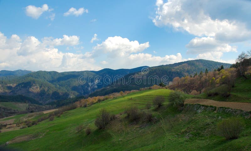 Landscape of young green stock image. Image of environment - 2448165