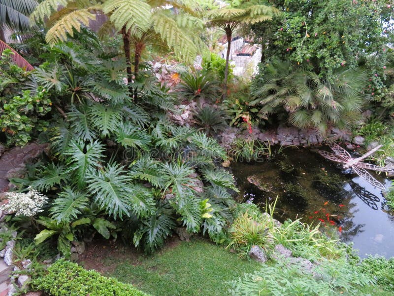 Landscaped Garden of Various Plants, Trees, and Bushes Stock Photo ...