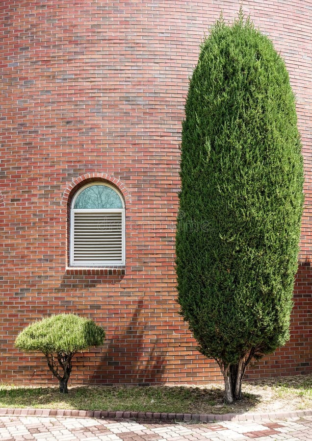Landscaped Green Trees in Front of a Red Brick Stock Image - Image of ...