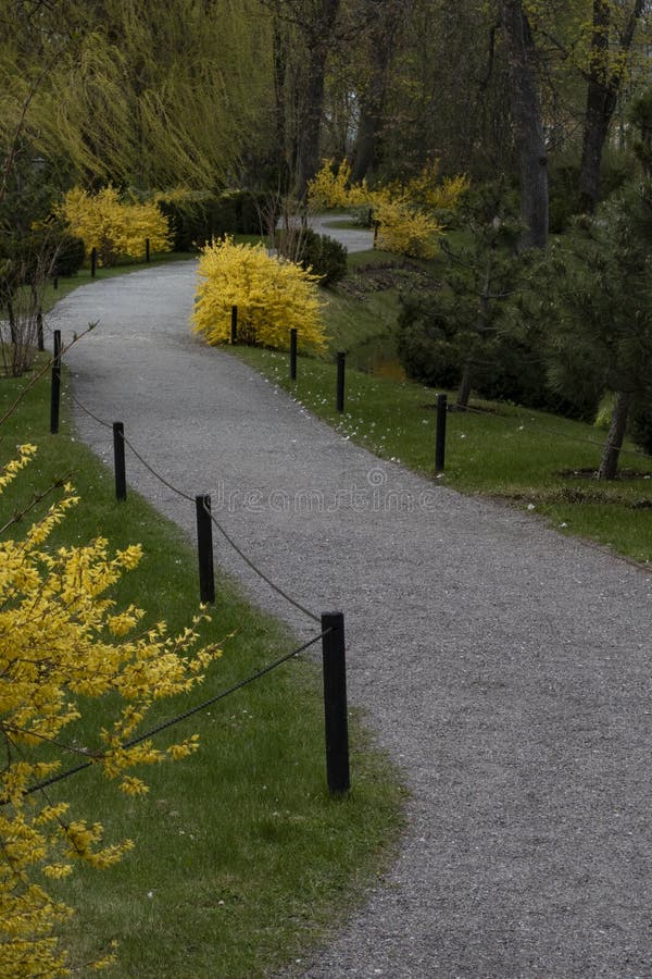 Walk through Park in Spring Stock Image - Image of park, flora: 146671377