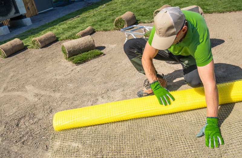Landscaper Installing Mole Repellent Netting Stock Photo - Image of ...