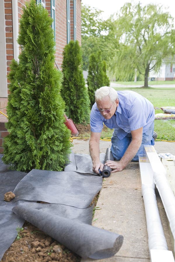 Landscaper planting trees stock image. Image of skill - 6418973