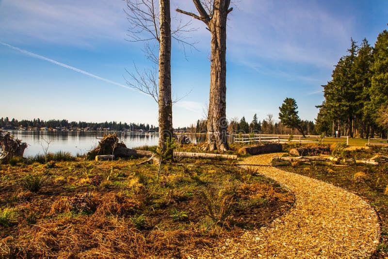 Landscapes of Lake Tapps Park in Spring Stock Image - Image of tree ...