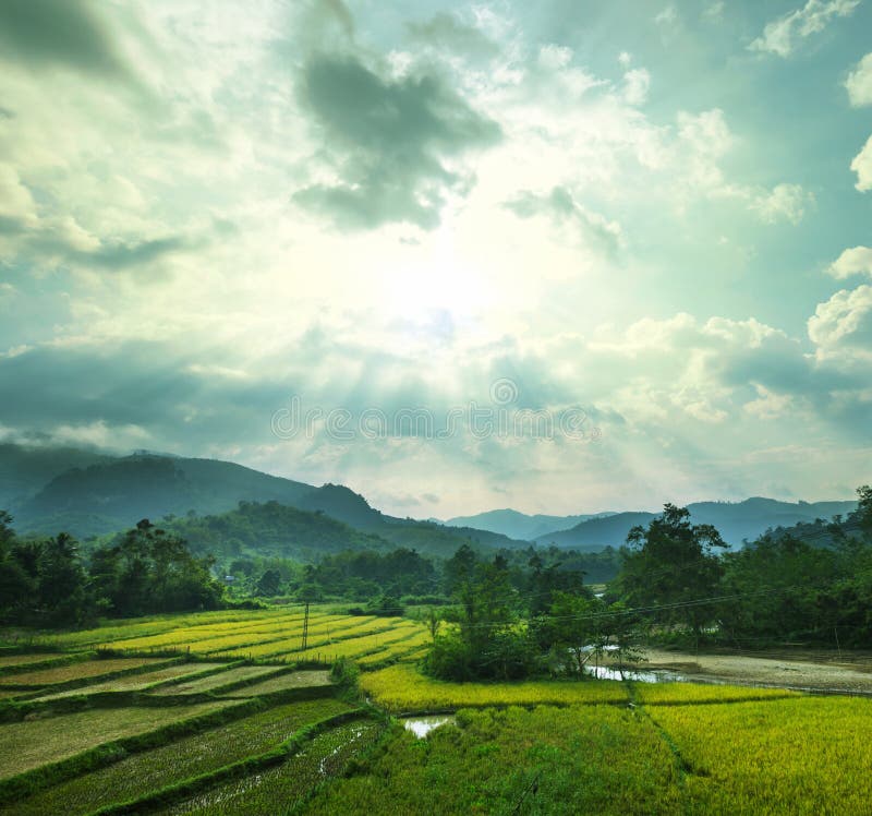 Landscapes in Laos stock photo. Image of crop, countryside - 32007640