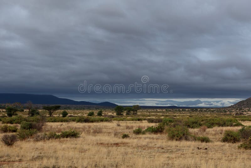 Landscapes in the North of Kenya Stock Photo - Image of reserve, kenia ...