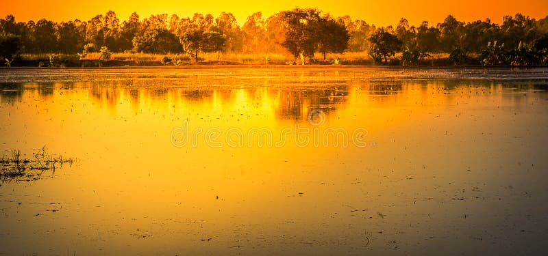 Shallow Lakes, Surrounded by Forest Stock Image - Image of mountains ...