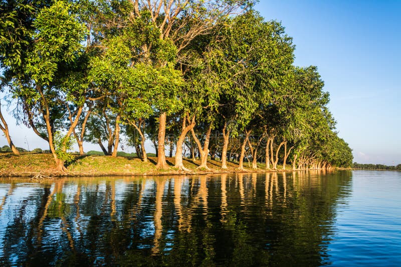 Landscapes of Trees Along the Water Stock Image - Image of tree, scenic ...