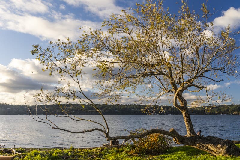 Landscapes of Vashon Island in Autumn. Stock Photo - Image of vashon ...