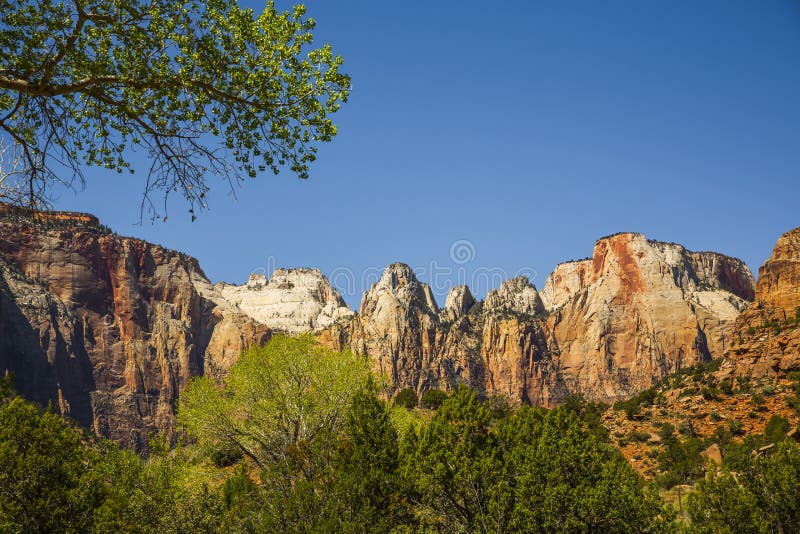 Landscapes of Zion National Park in Spring Stock Photo - Image of ...