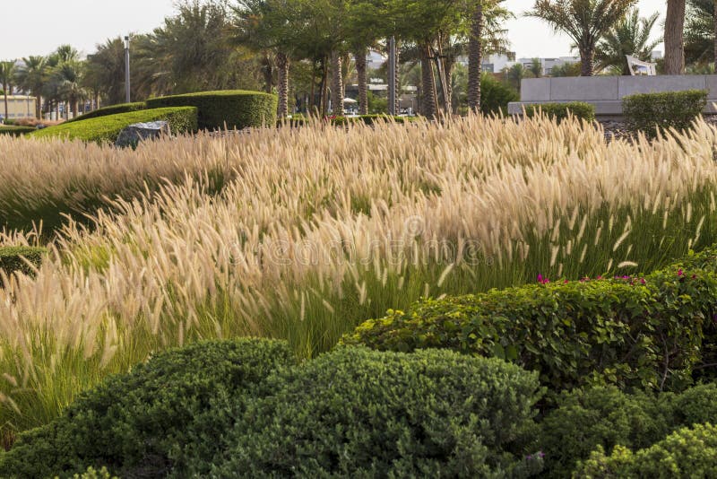 Landscaping Arrangements in the Park. Outdoors Stock Image - Image of ...