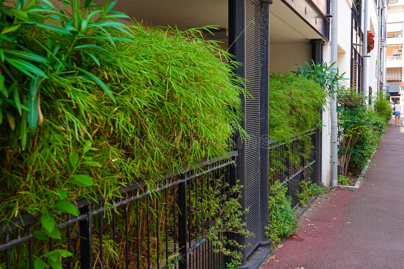 Landscaping of the Facade of the Lower Floor of the Building Stock ...