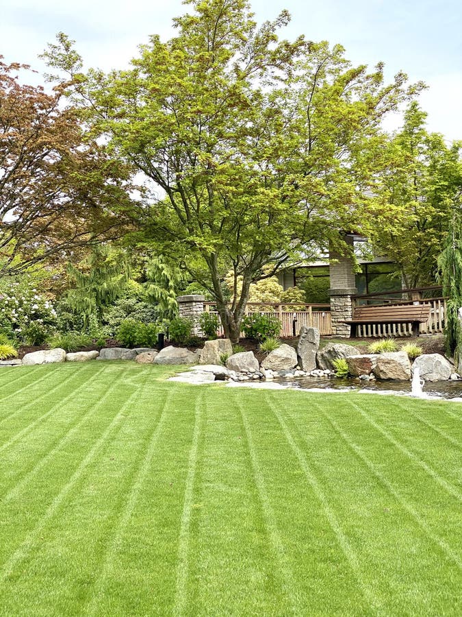 Landscaping maintenance stock photo. Image of maintenance - 217430684